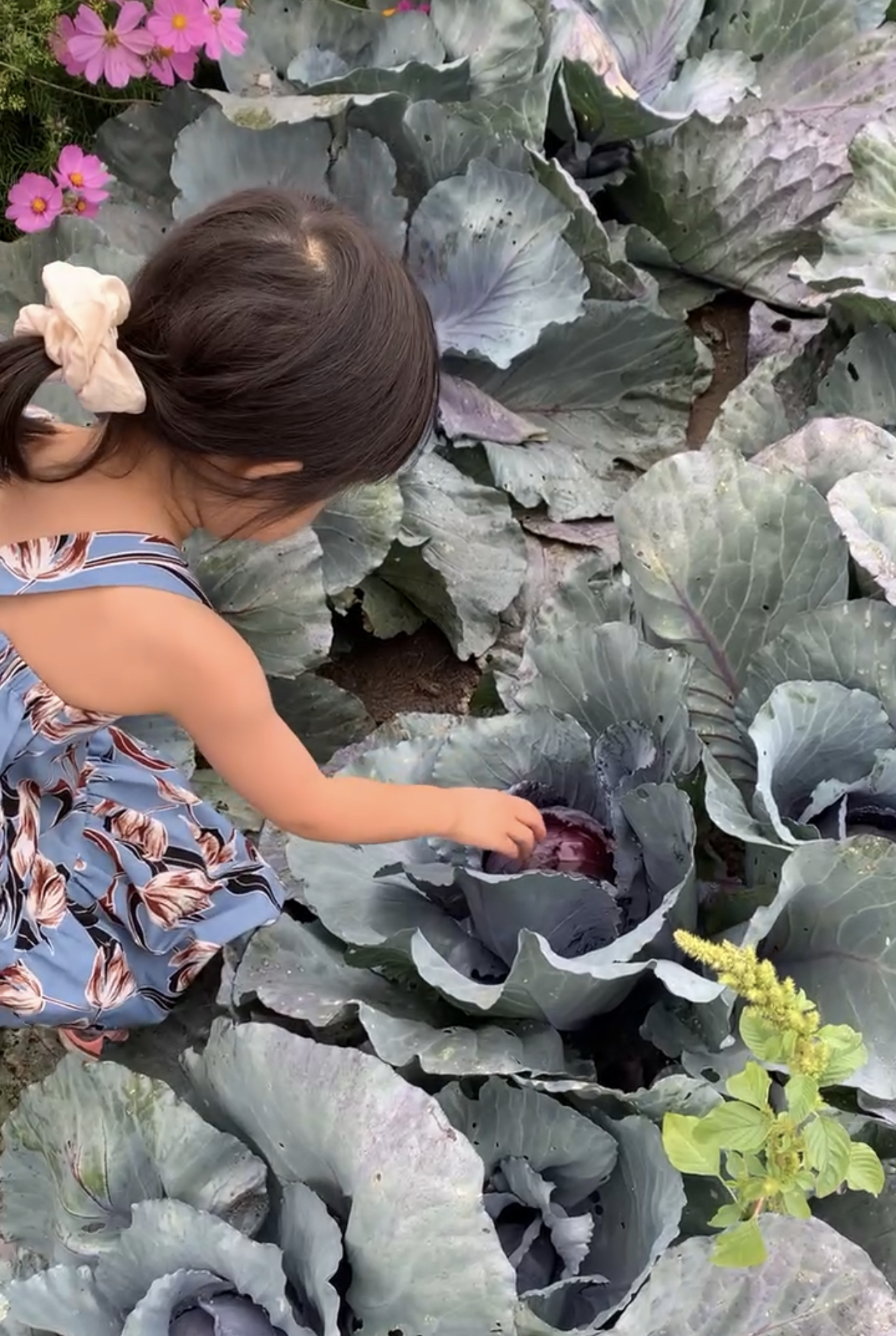 Raising Young Food Explorers: Inspiring Children in Adventurous Eating ...