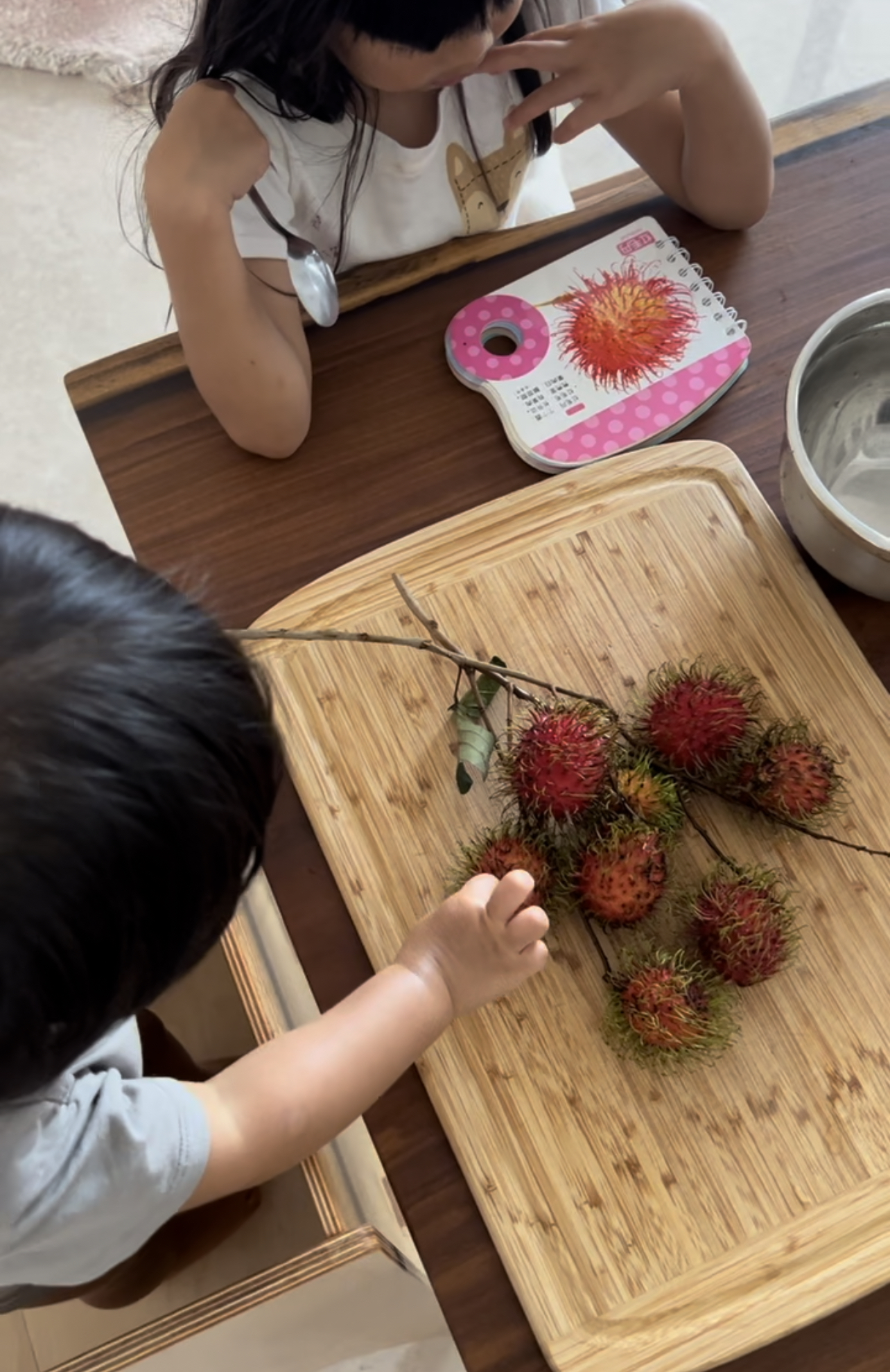 Raising Young Food Explorers: Inspiring Children in Adventurous Eating ...